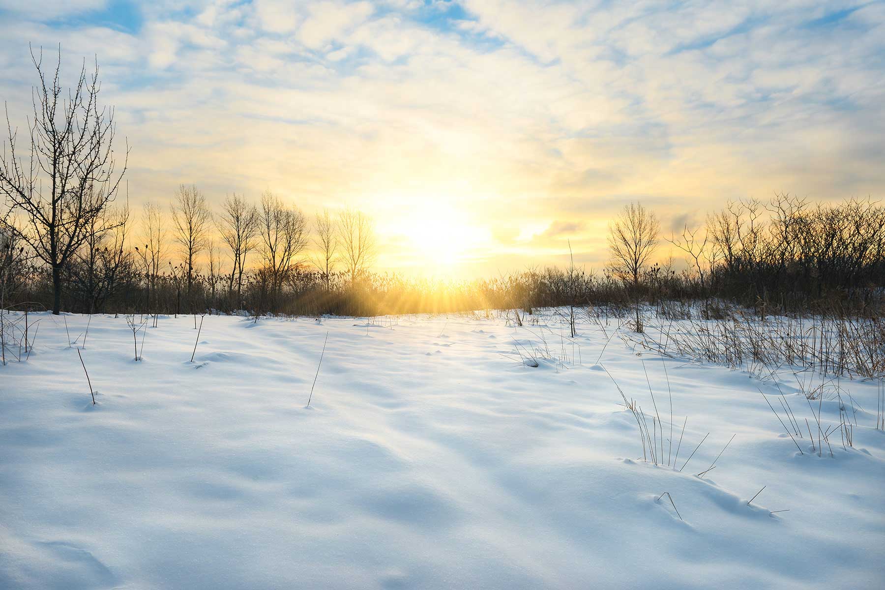 Snow and sun – Taku Kumabe Photography and Design