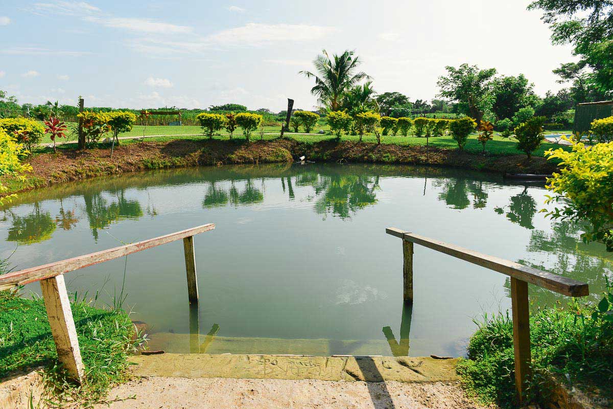 Sabeto Hot Springs and Mud Pool – Taku Kumabe Photography and Design