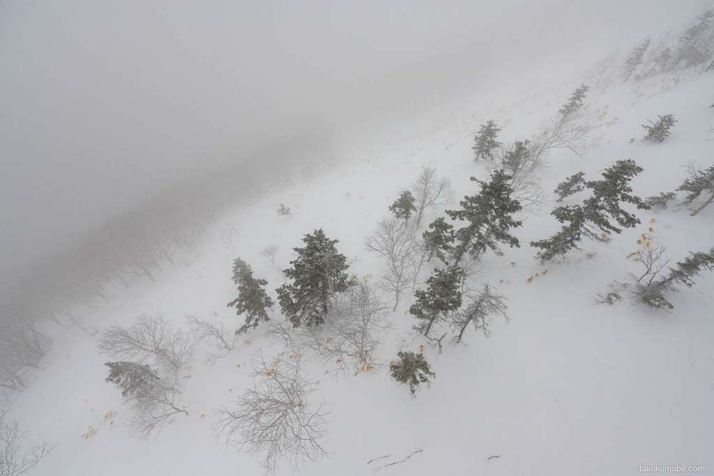 Hokkaido Winter Adventures – Taku Kumabe Photography and Design
