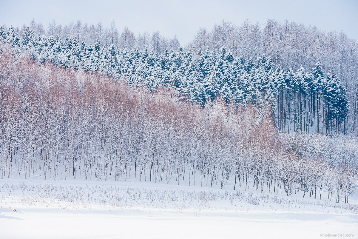 Hokkaido Minimalism – Taku Kumabe Photography and Design