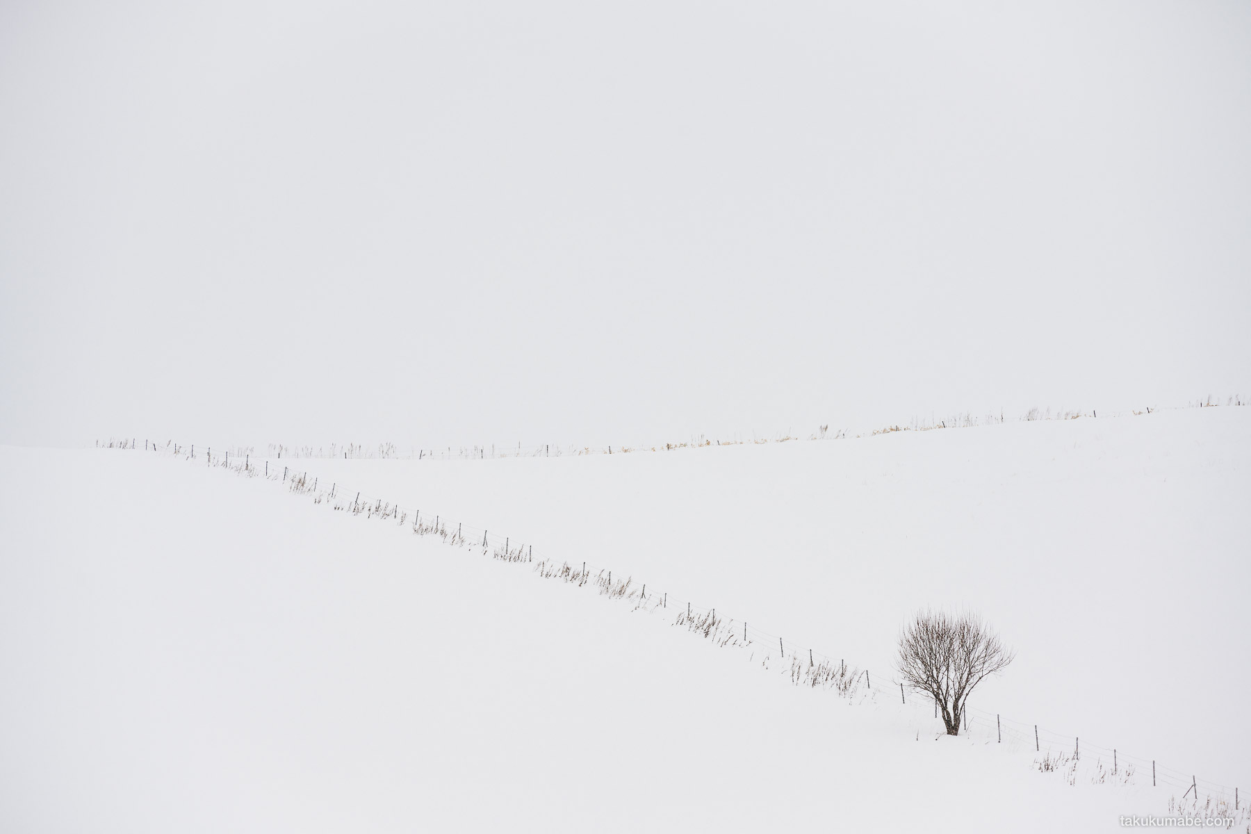 Hokkaido Minimalism – Taku Kumabe Photography and Design