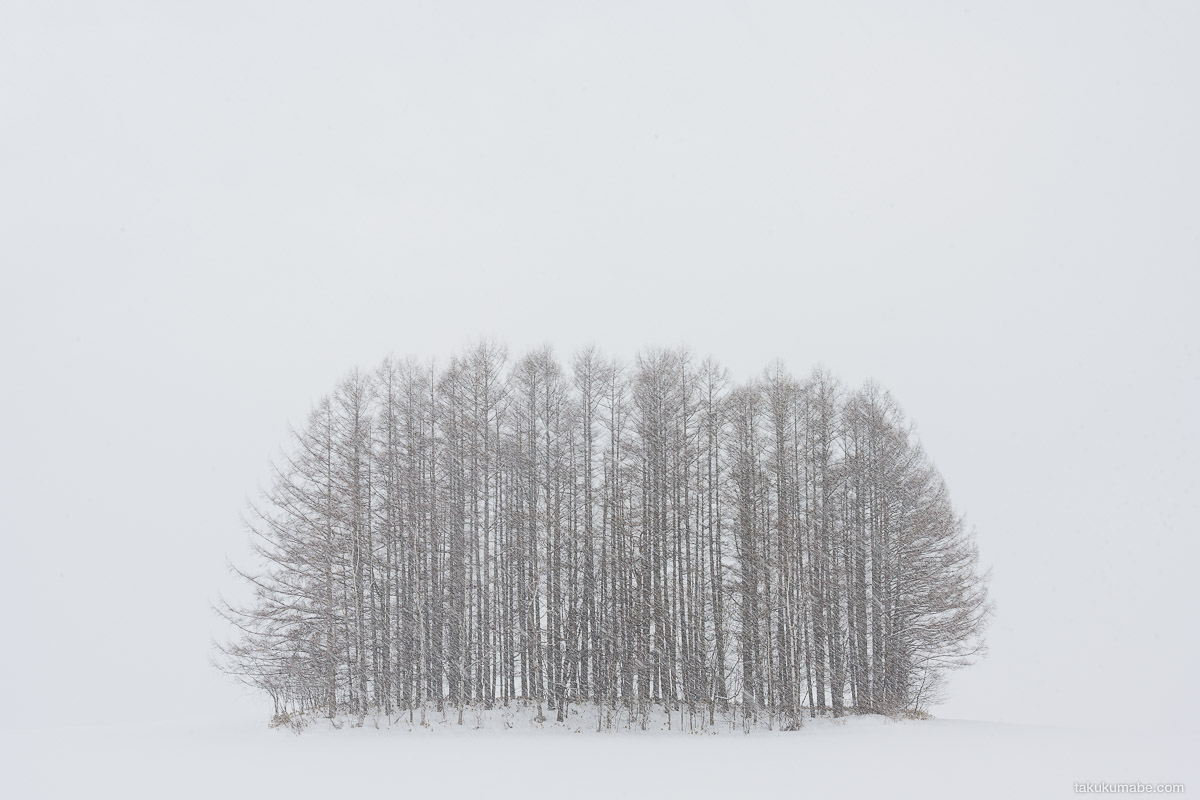 japan – Taku Kumabe Photography and Design