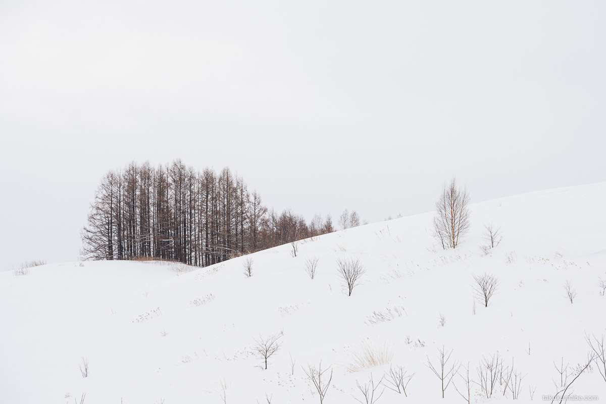 Hokkaido Minimalism – Taku Kumabe Photography and Design
