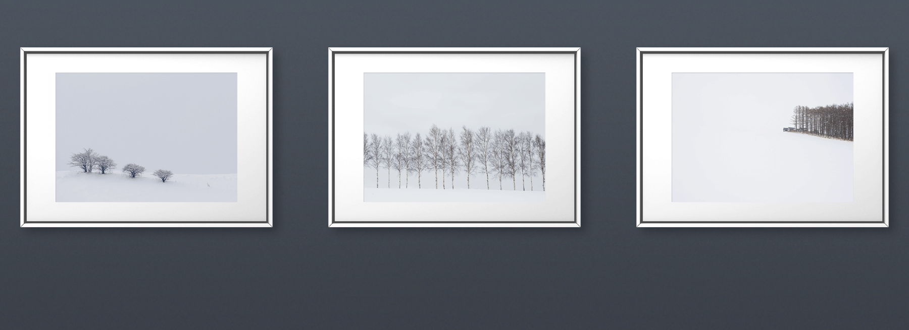 Taku Kumabe Photography and Design – Photography by Nikon Ambassador ...