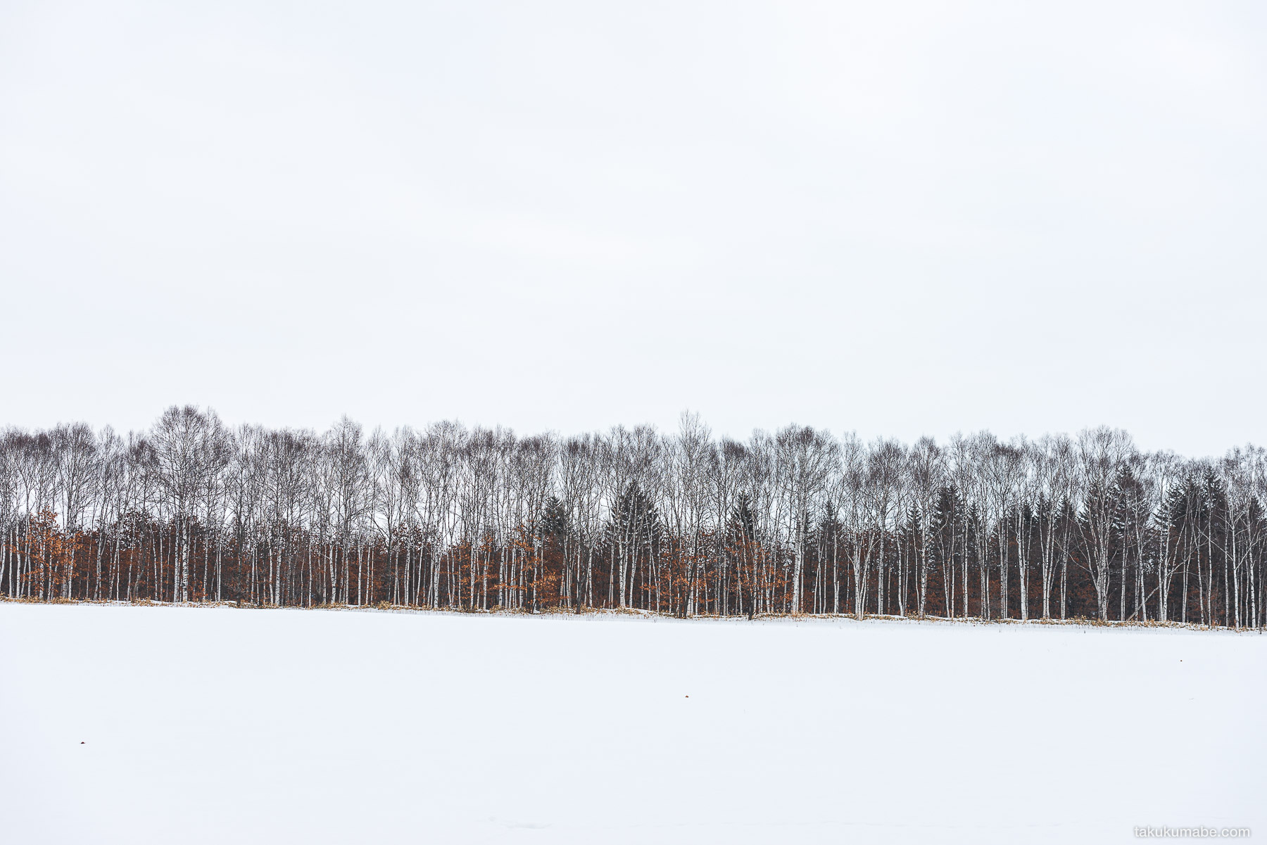 Hokkaido Minimalism – Taku Kumabe Photography and Design