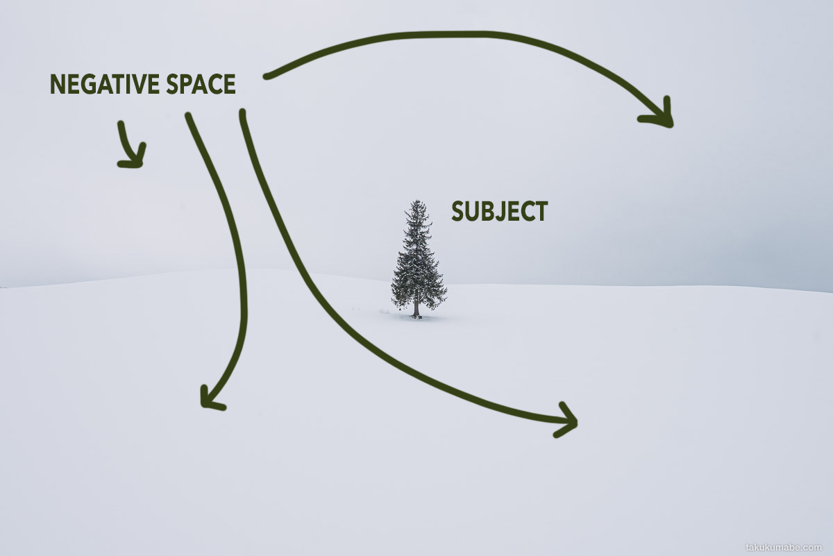 The Curious Case of the Christmas Tree – Taku Kumabe Photography and Design