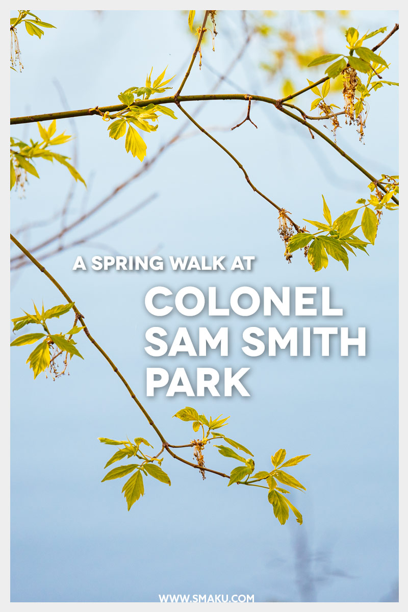 A Spring Walk at Colonel Sam Smith Park – Taku Kumabe Photography and ...