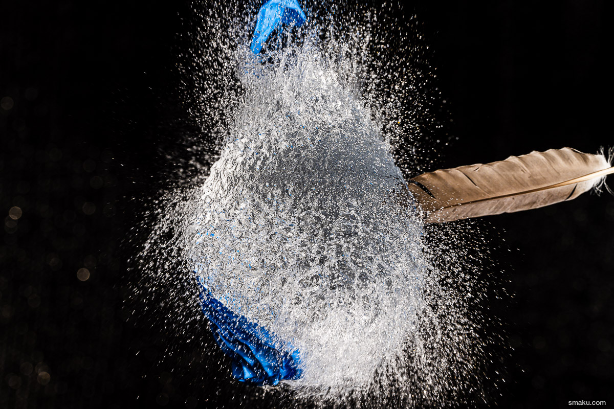 Nature-Inspired Water Balloon Series – Taku Kumabe Photography and Design