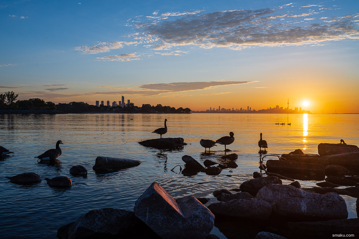 Summer sunrises in Toronto – Taku Kumabe Photography and Design