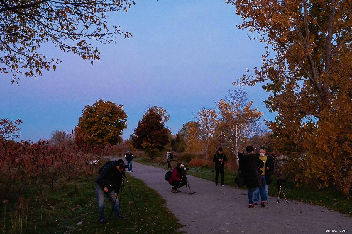 Getting to know the Toronto Sunrise Meetup – Taku Kumabe Photography ...