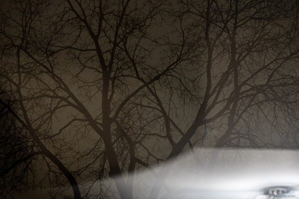 Photography through a window – Taku Kumabe Photography and Design